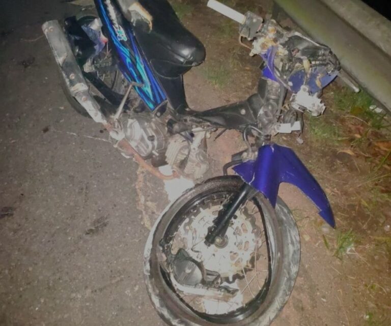 Kirab Suran Mbah Demang - Tugu Jogja